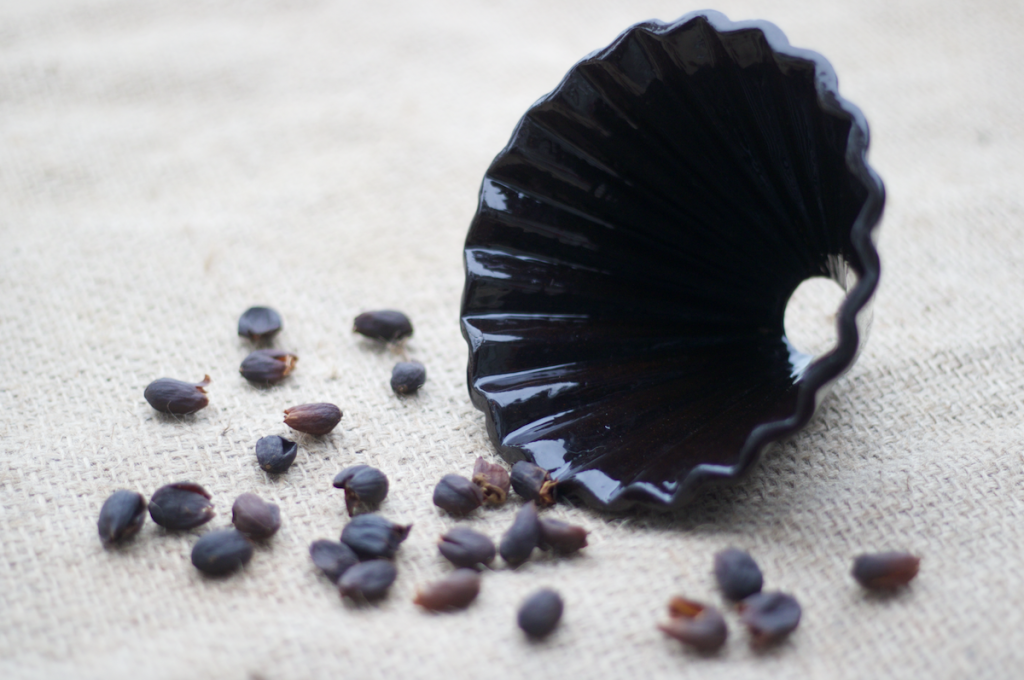 Moali creó un dripper de borra y cáscara de café peruano ¿Ya lo conoces? - La Ruta del Café Peruano